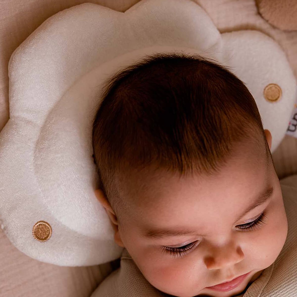 Tinéo - The Little Wolf Head Wedge