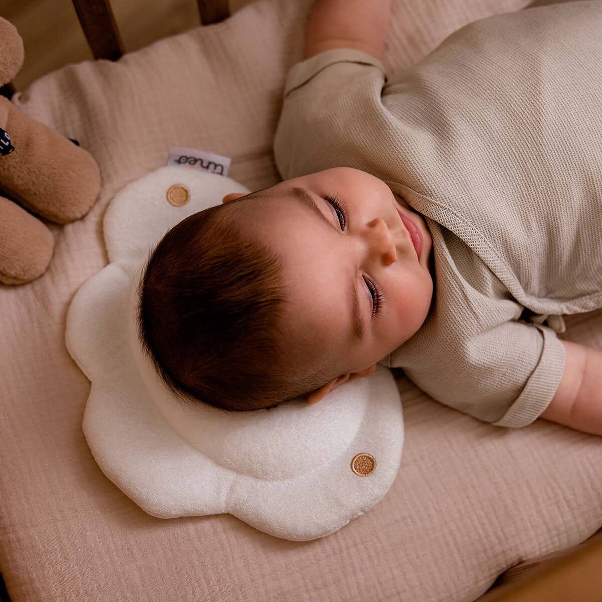 Tinéo - The Little Wolf Head Wedge